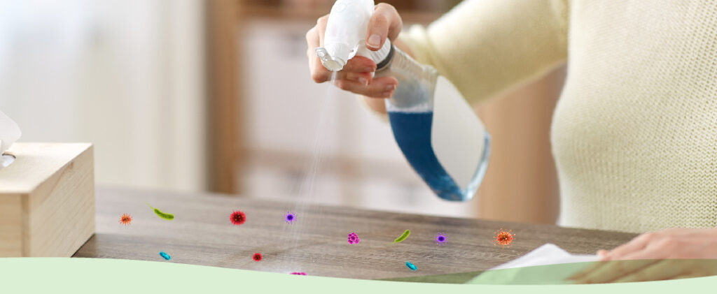 Choose The Right Disinfectant For Your Home: A How-To Guide